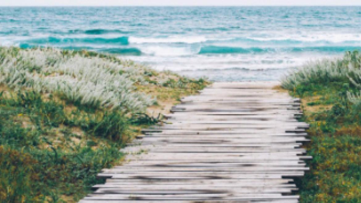 The Path of Practice: The Key Elements of Lasting Success | Integral Transformative Practice